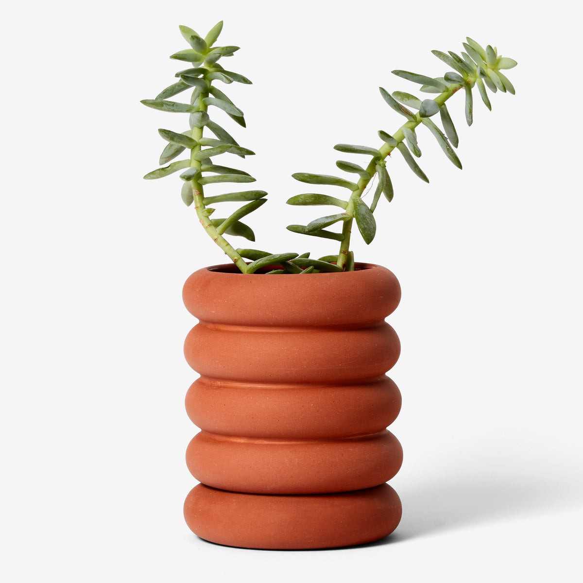 Stacking Planter Mini – SHOP Cooper Hewitt